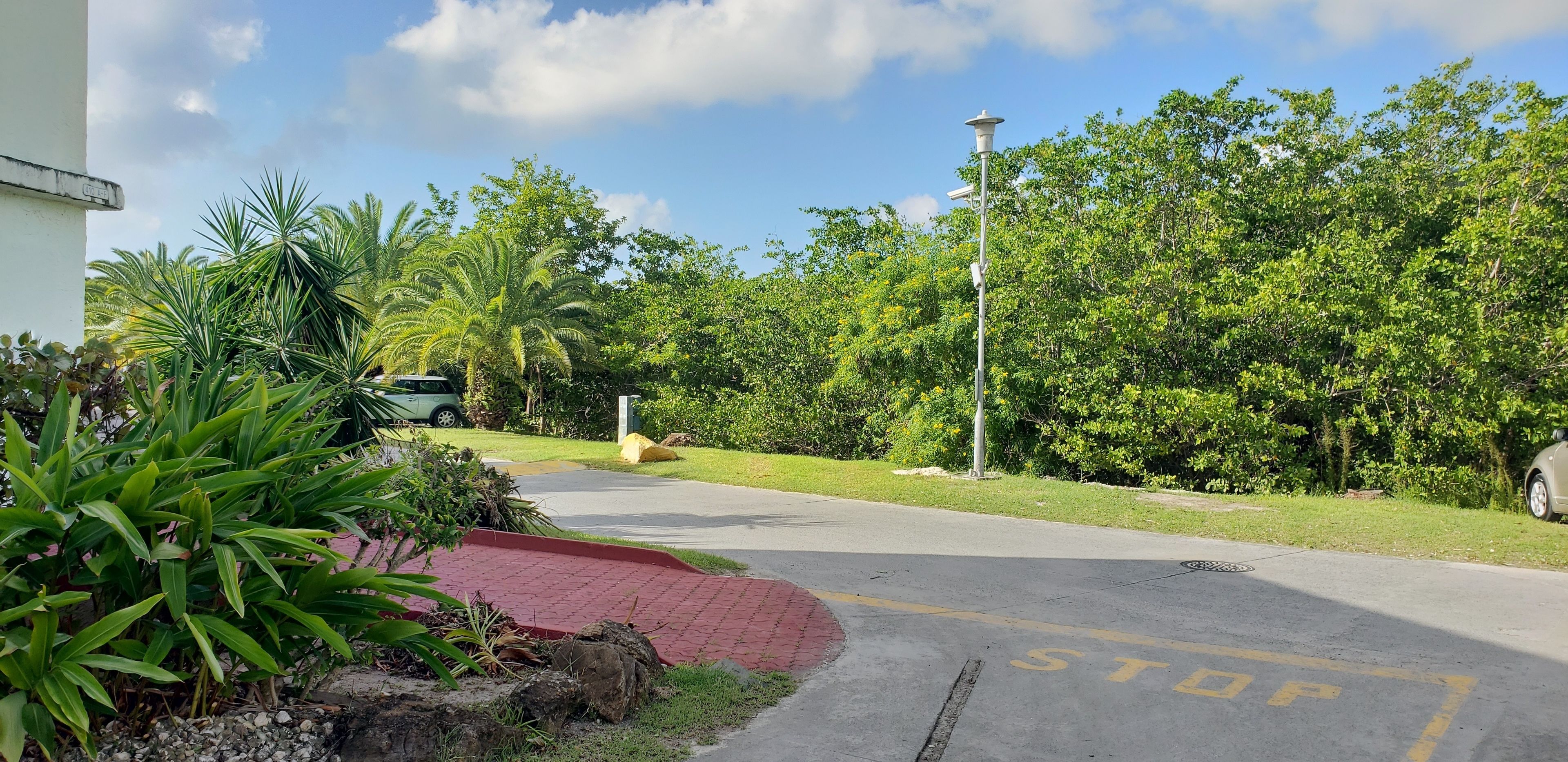 Uma passarela pavimentada com uma linha de parada, vegetação exuberante e um carro estacionado na lateral.