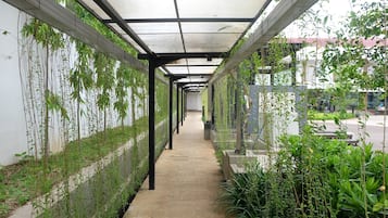 Jardim