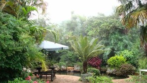 Um pátio com jardim, caminho de tijolos, mesa e guarda-sol.