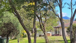 Uma casa com telhado vermelho, cercada por árvores e um gramado.