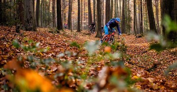 Trilha na floresta com ciclistas.