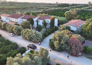 Um bairro residencial com casas, uma rua e vegetação ao redor.