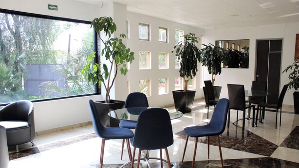 Uma sala de conferências moderna com uma mesa de vidro, cadeiras azuis e plantas em vasos.