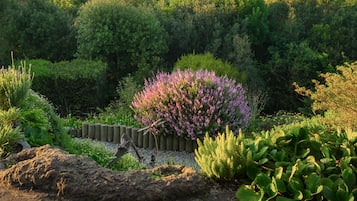 Jardim