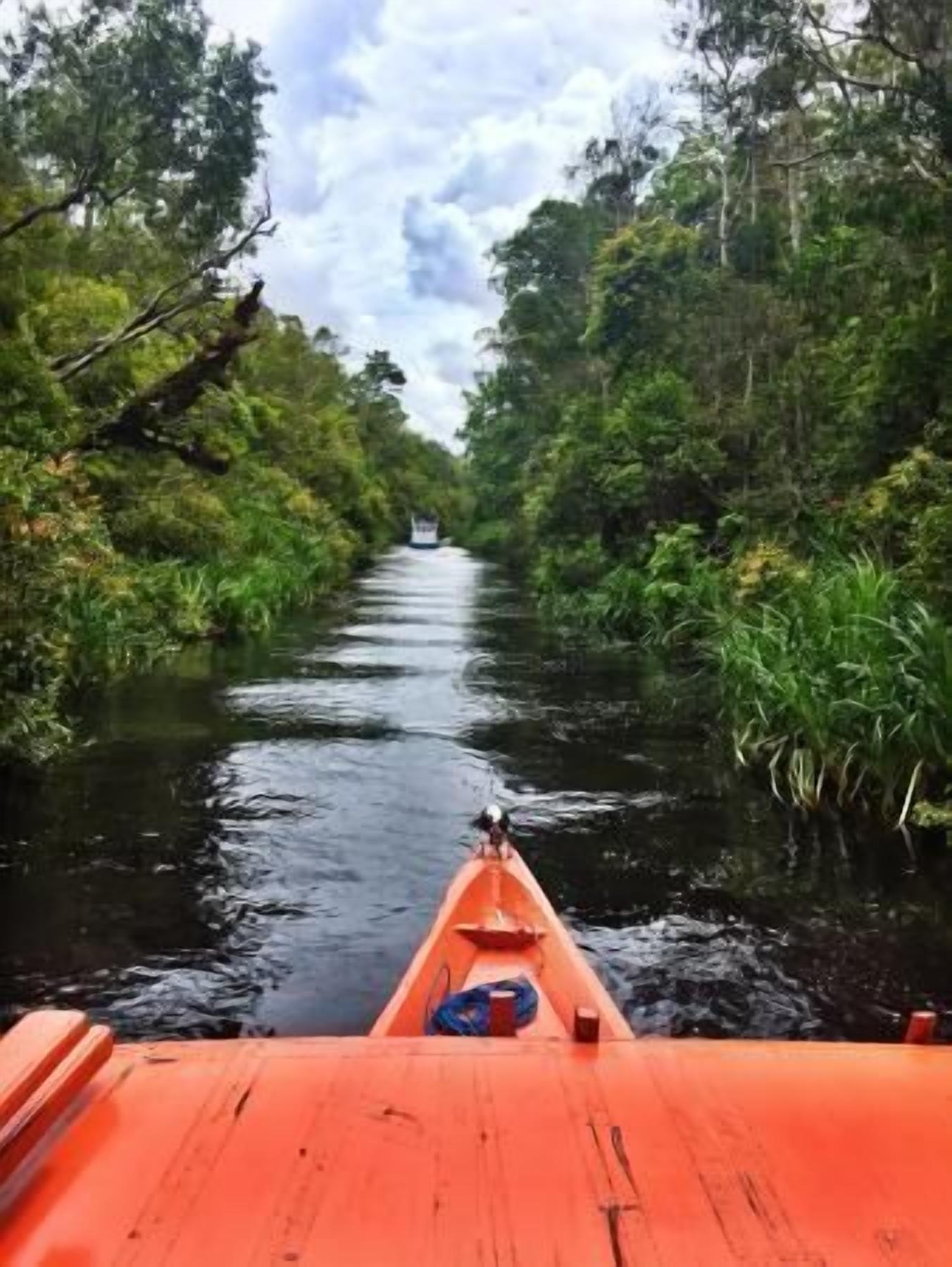 Um canal estreito ladeado por vegetação densa, visto de um barco.