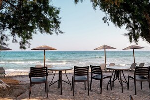 Na praia, espreguiçadeiras, guarda-sóis, bar na praia 