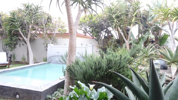 Uma piscina rodeada por diversas plantas e árvores.