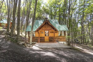 Cabana de Madeira Superior, 1 quarto | Terraço/pátio interior