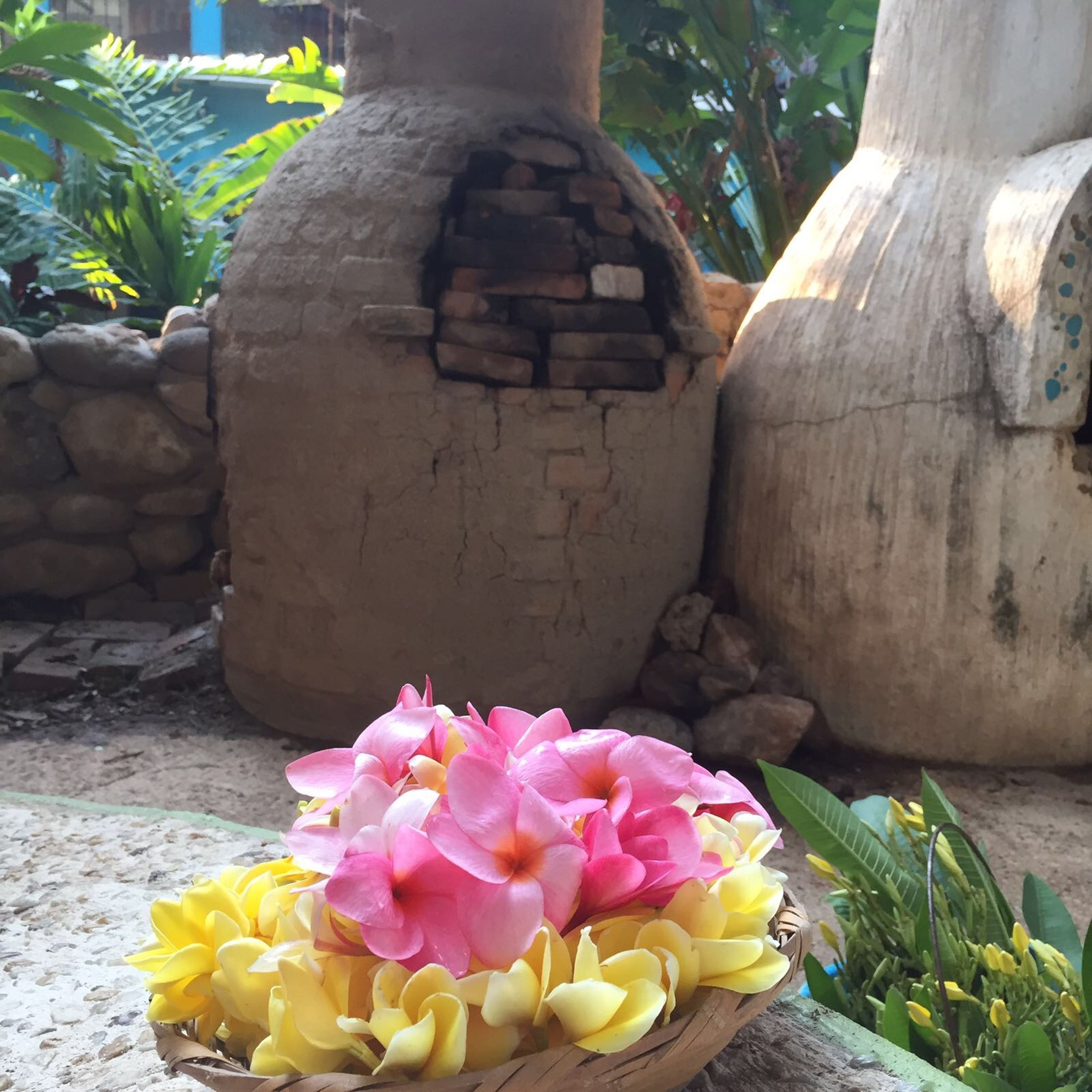 Um forno de barro tradicional com estrutura de tijolos, rodeado por vegetação e um cesto decorativo com flores.
