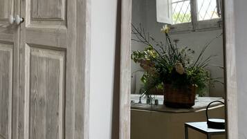 Casa de banho com porta de madeira, espelho, pia e planta em vaso.