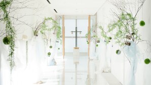 Um corredor com paredes brancas, plantas penduradas e um candelabro.