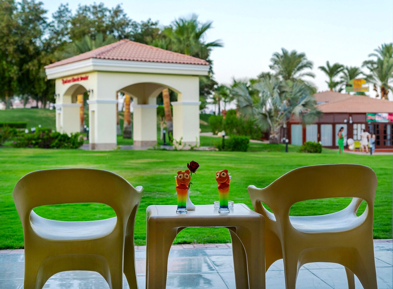 Duas cadeiras de plástico e uma mesa pequena com um vaso e uma rosa em um jardim.