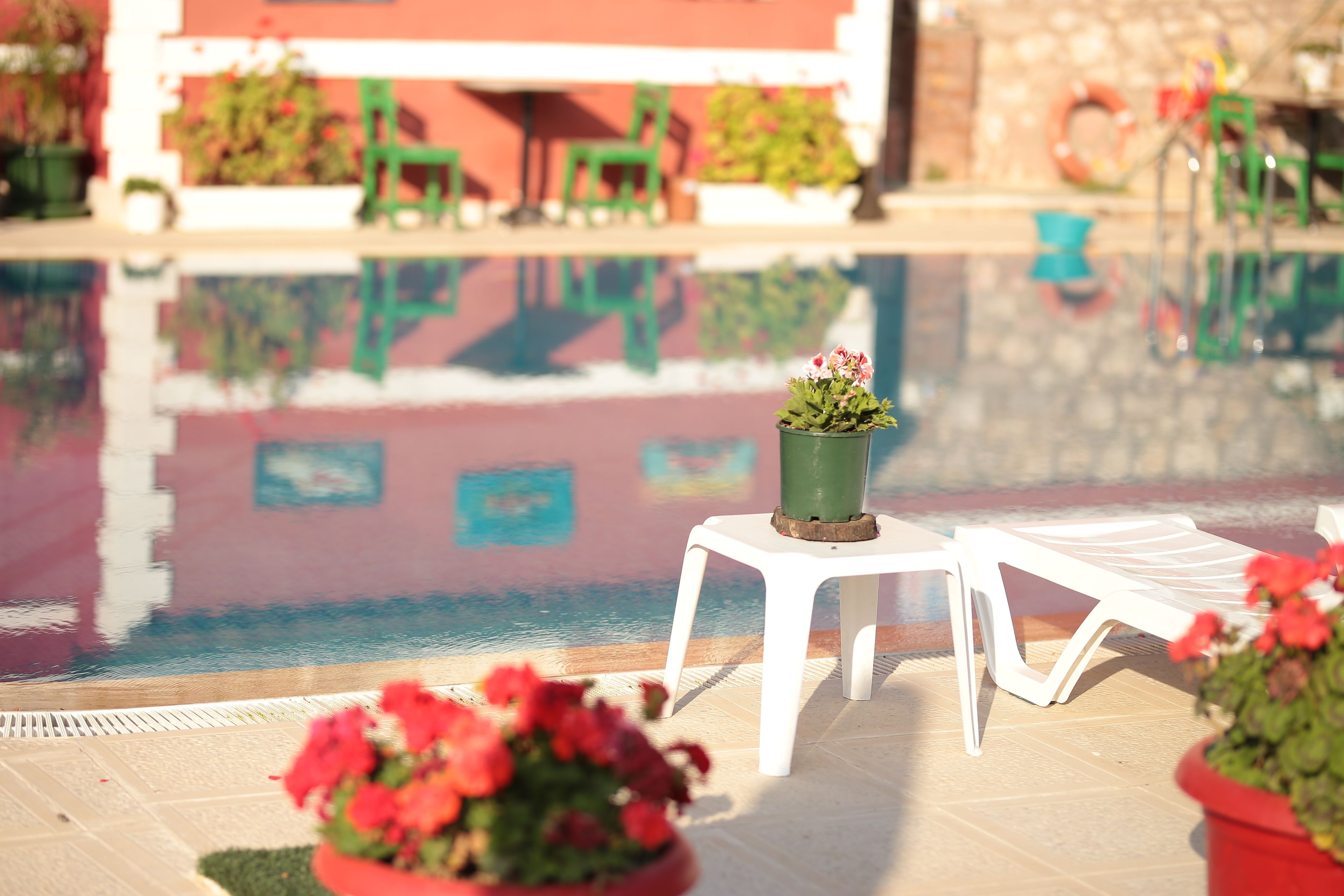 Uma área de piscina com vista desimpedida, uma cadeira branca e plantas em vasos.