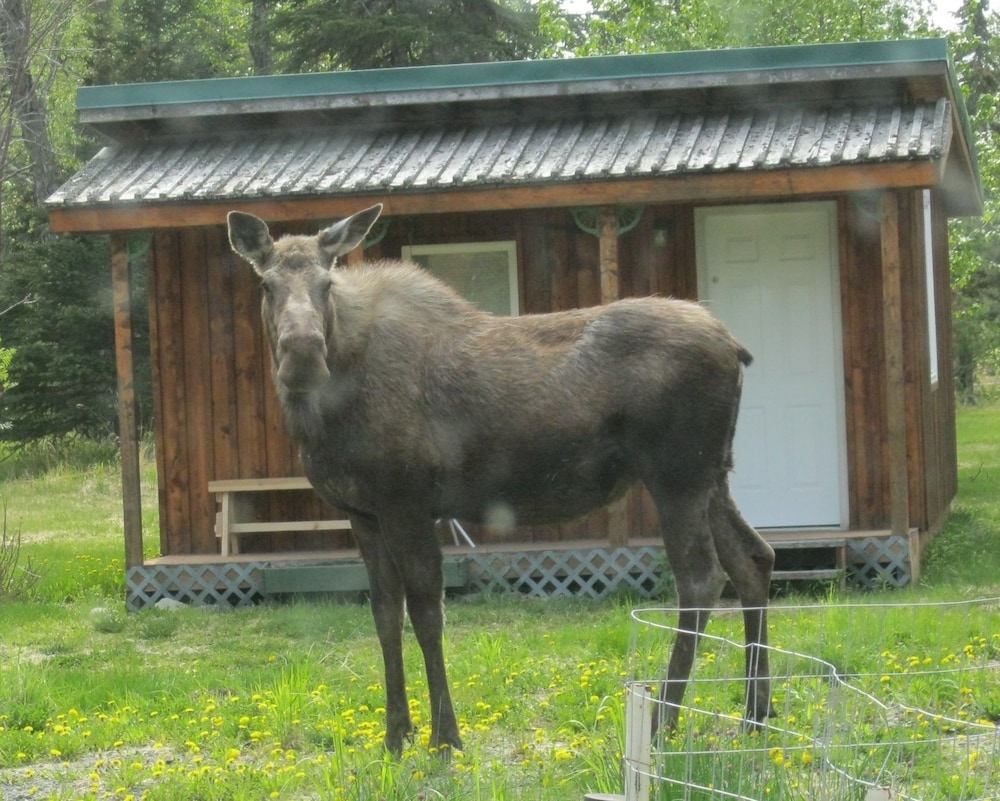 Whispering Winds Retreat B&b - Alaska