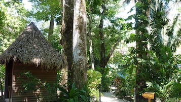 Entrada (vista interna)