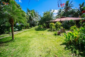 Um jardim exuberante com diversas plantas tropicais e uma pequena casa com telhado vermelho.