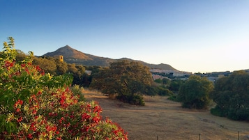 Vista para a montanha
