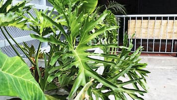 Terraço/pátio interior