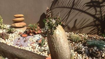 Jardim rochoso com diversos suculentos e cactos, um tronco de madeira e uma pilha de pedras.