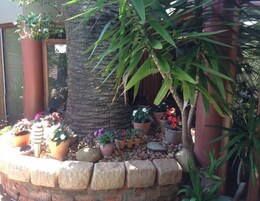 Jardim