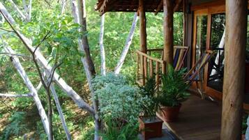 Um deck de madeira com plantas em vasos e vista para uma área arborizada.
