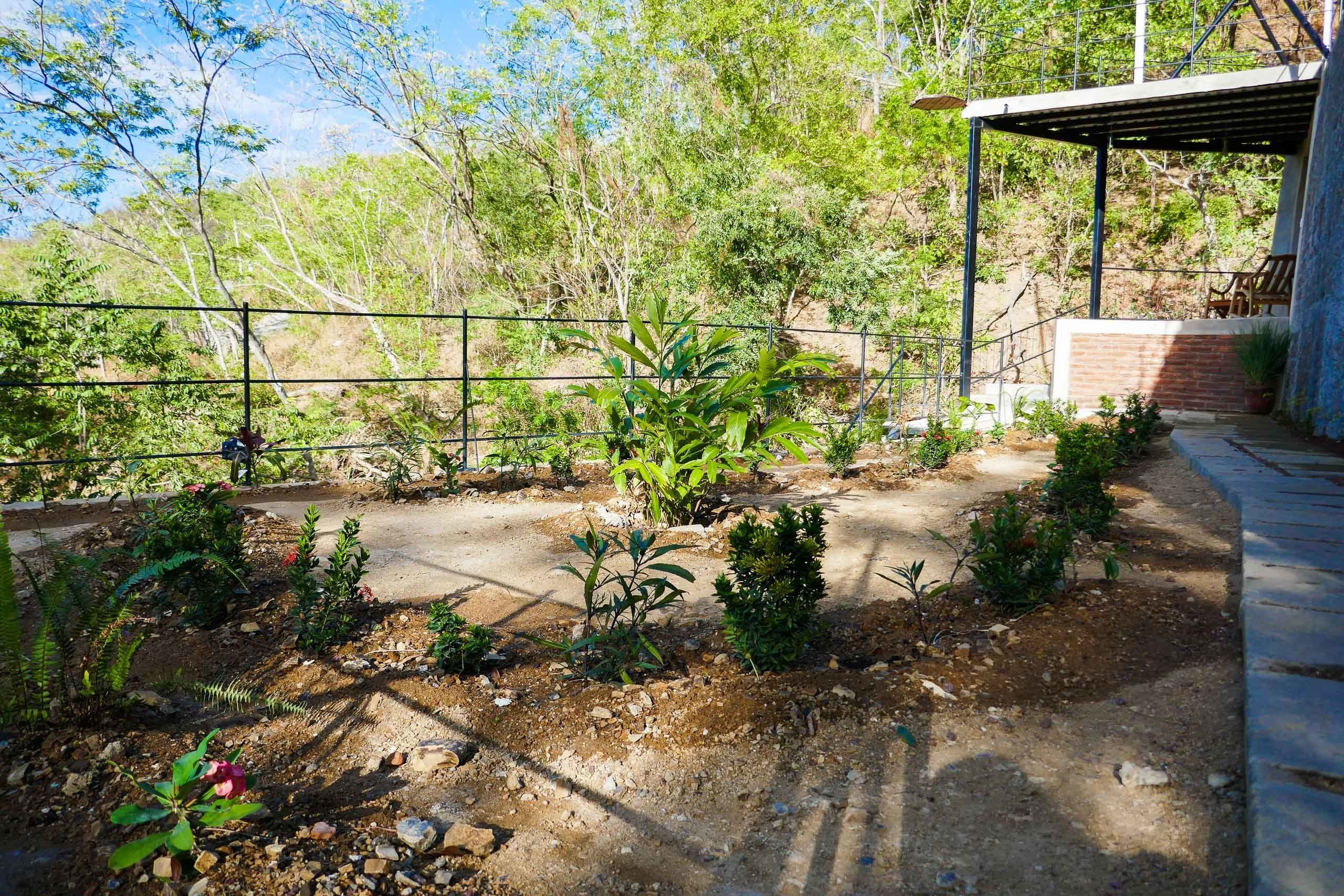Um jardim com diversas plantas e uma cerca de metal.