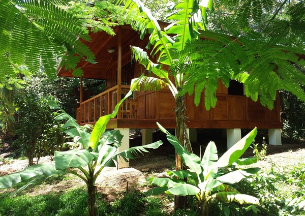 Rancho De Lelo Ecolodge - Guanacaste Province