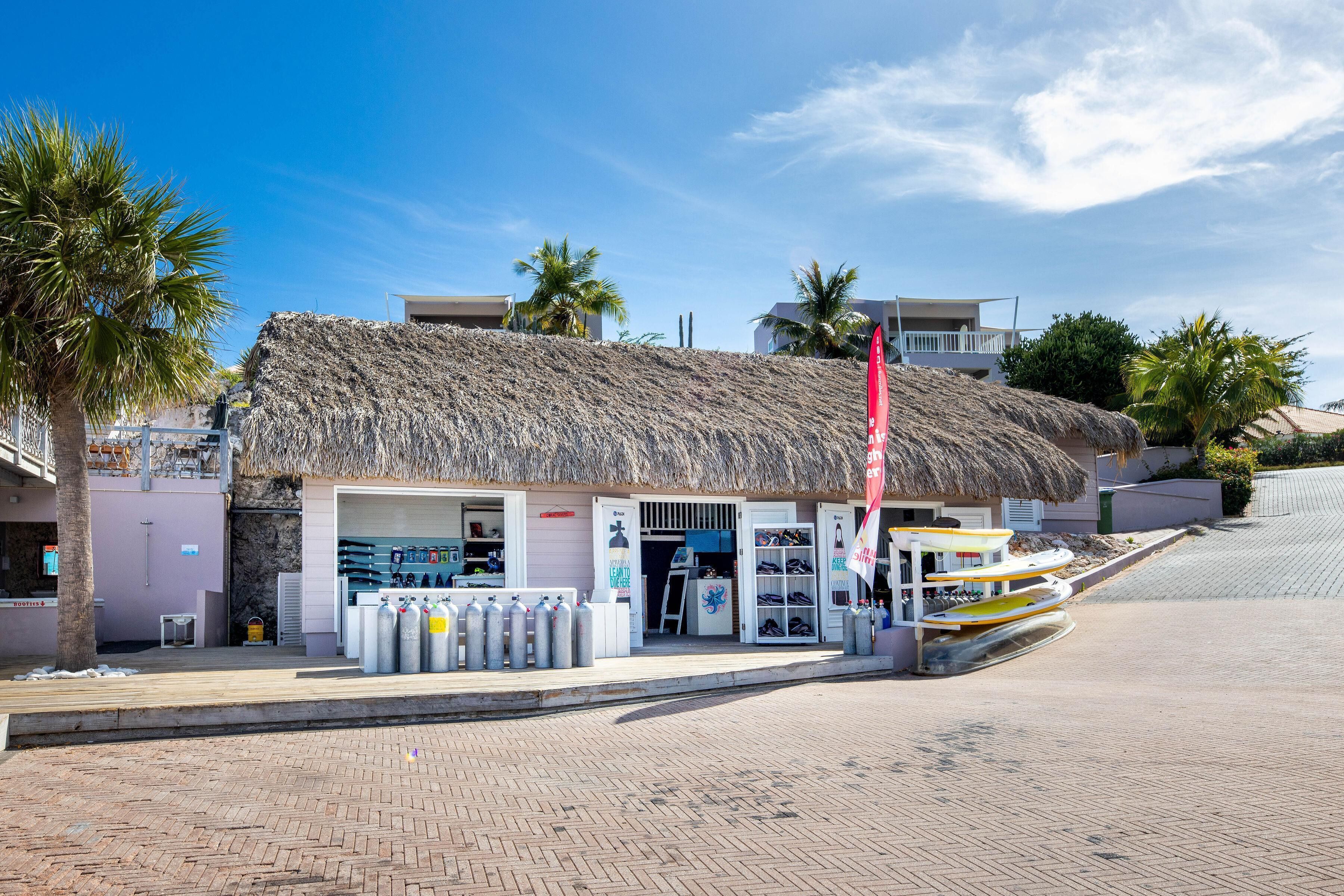 Um edifício à beira-mar com telhado de palha, uma loja de surf e uma área de praia arenosa.