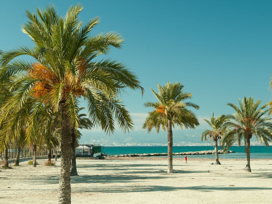 Vista da propriedade