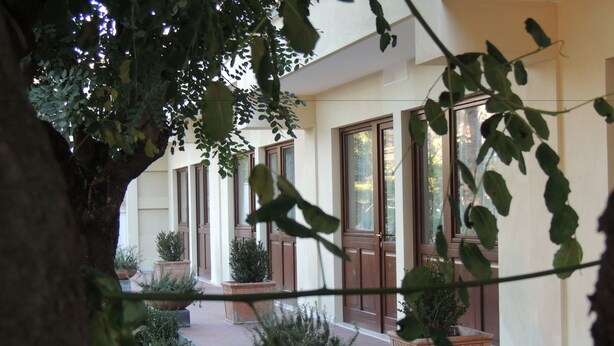 Um pátio com plantas em vasos, uma árvore e um edifício com janelas e portas amplas.