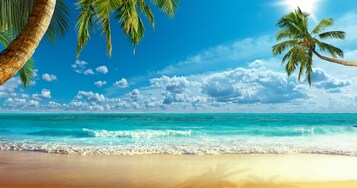 Uma praia com águas turquesa cristalinas, areia branca e palmeiras.