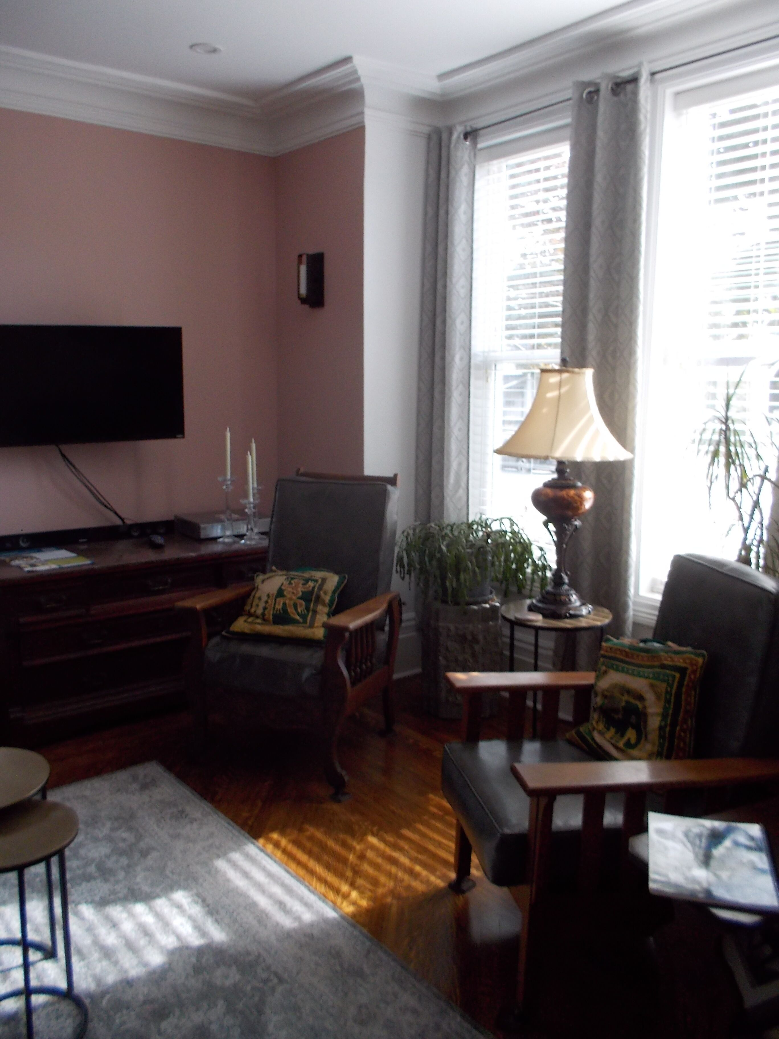 Sala de estar com televisão de tela plana, uma cadeira de madeira com almofada, uma mesa com abajur e um vaso de planta.