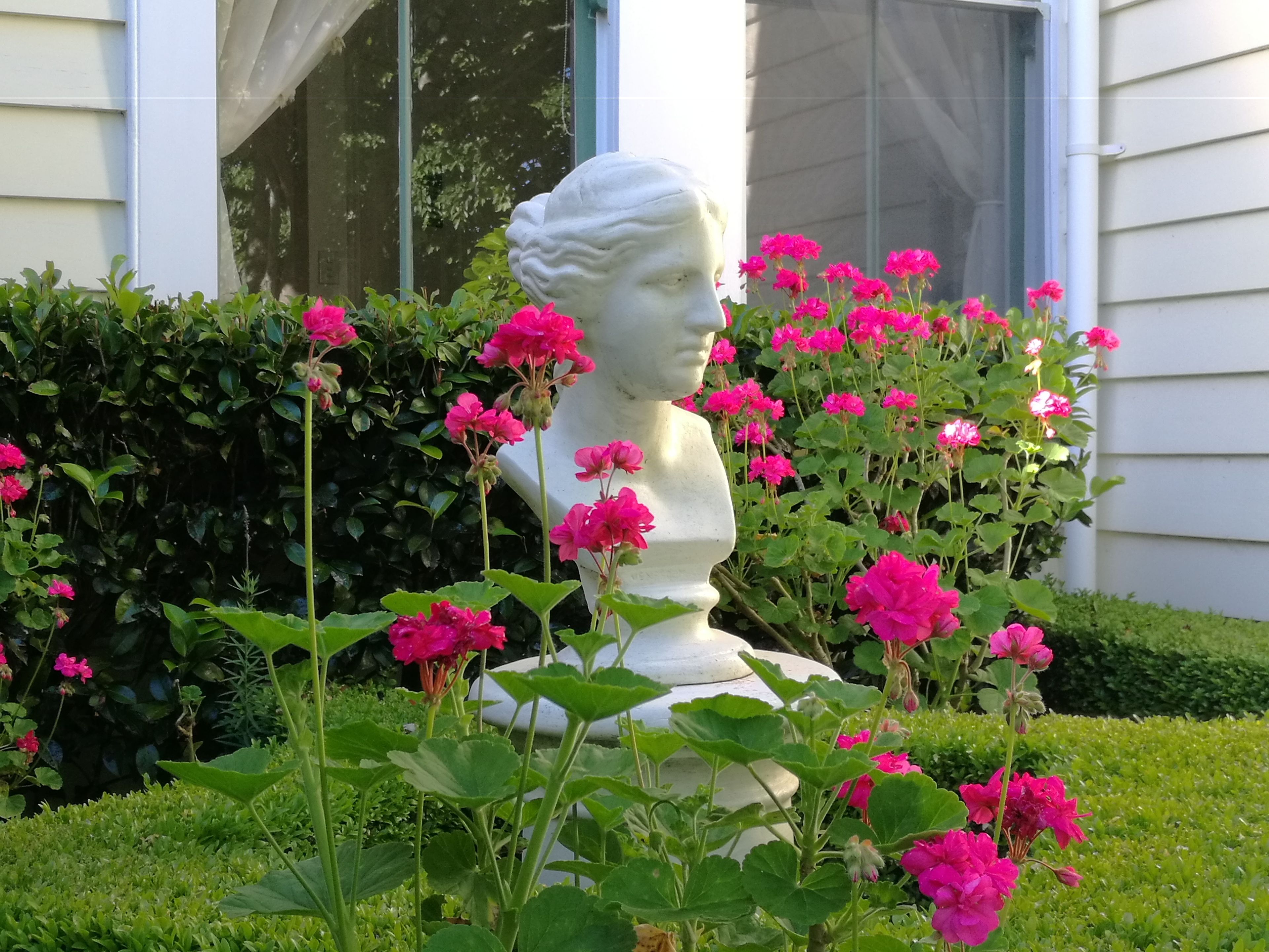Jardim com busto branco cercado por flores cor-de-rosa.