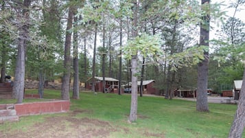 Área da propriedade