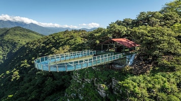 Uma ponte de vidro sobre uma floresta exuberante, com um pequeno edifício no final.