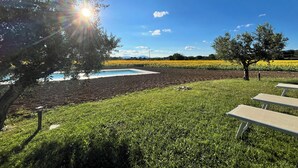 Uma área gramada com piscina, mesas de piquenique e um campo de flores amarelas sob um céu claro.