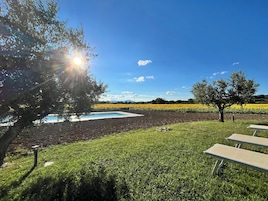 Uma área gramada com piscina, mesas de piquenique e um campo de flores amarelas sob um céu claro.