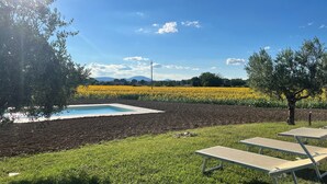 Uma piscina rodeada por um campo de girassóis, com relva e árvores ao primeiro plano.
