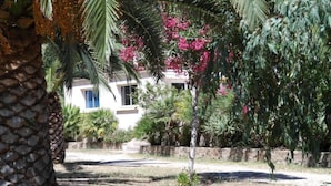 Um edifício com fachada branca, rodeado por diversas plantas tropicais e uma palmeira.