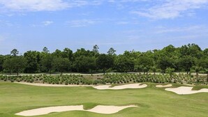 Um campo de golfe com armadilhas de areia, um relvado bem cuidado e uma fileira de árvores ao fundo.