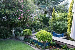 Jardim