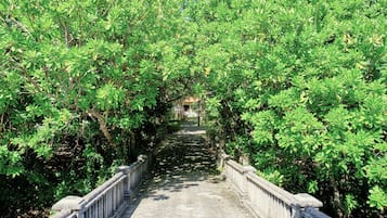 Pátio interior