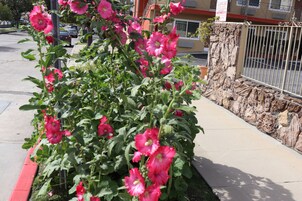 Fachada do alojamento