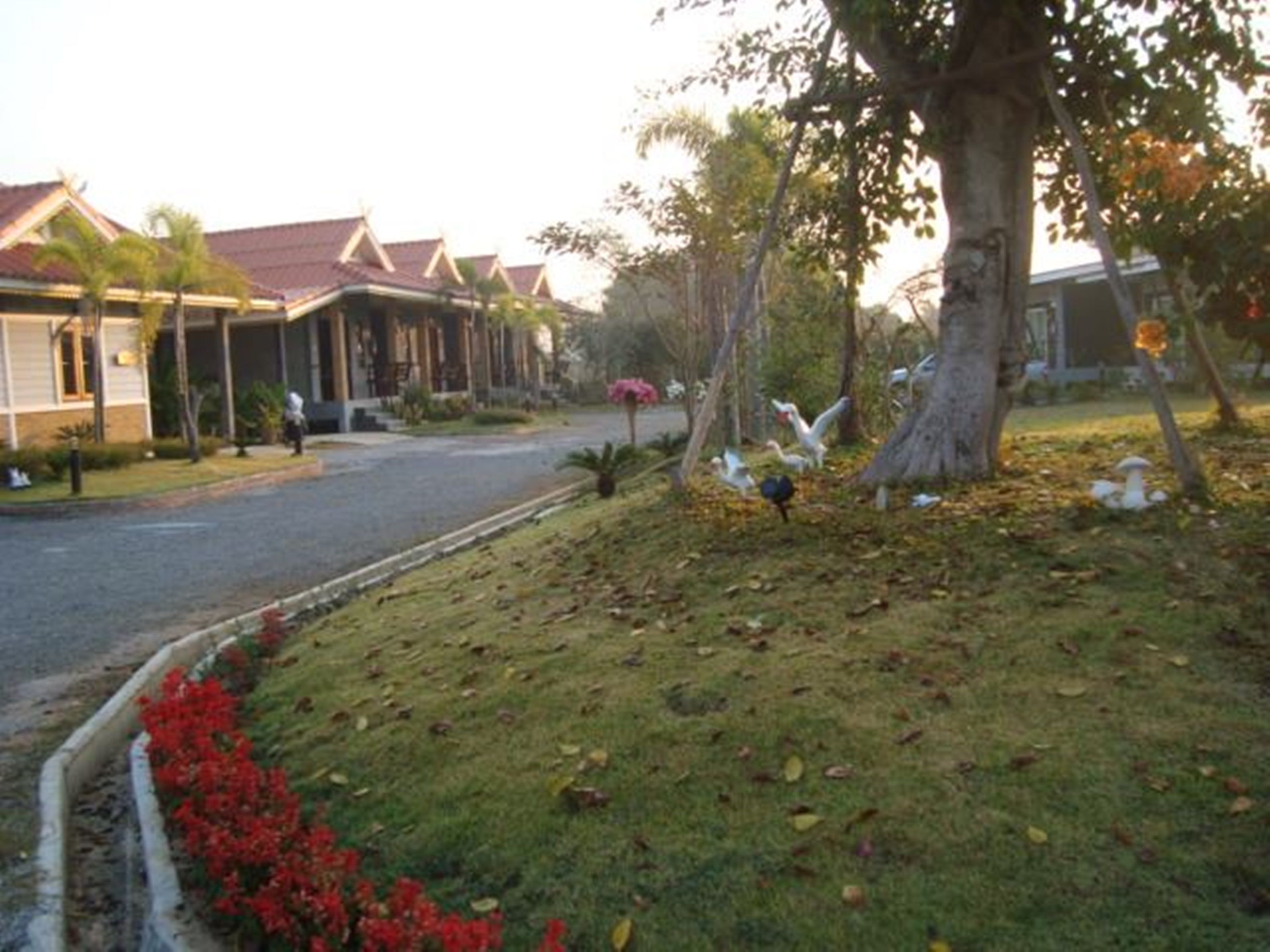 Rua residencial com casas, área gramada com árvores e calçada.