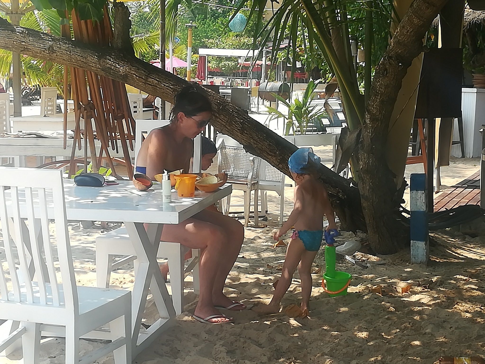 Café da manhã, almoço e jantar
