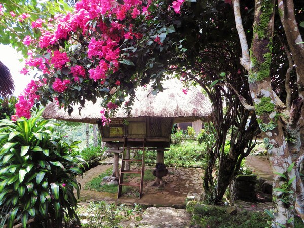 Native Village Inn - Banaue