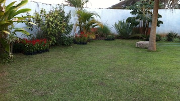 Jardim