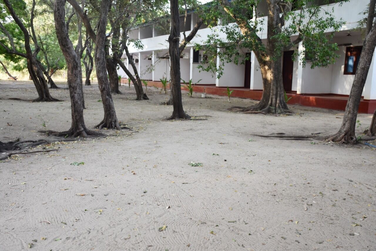 Pátio com árvores e um edifício com várias janelas e portas.