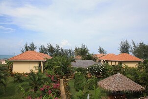 Jardim