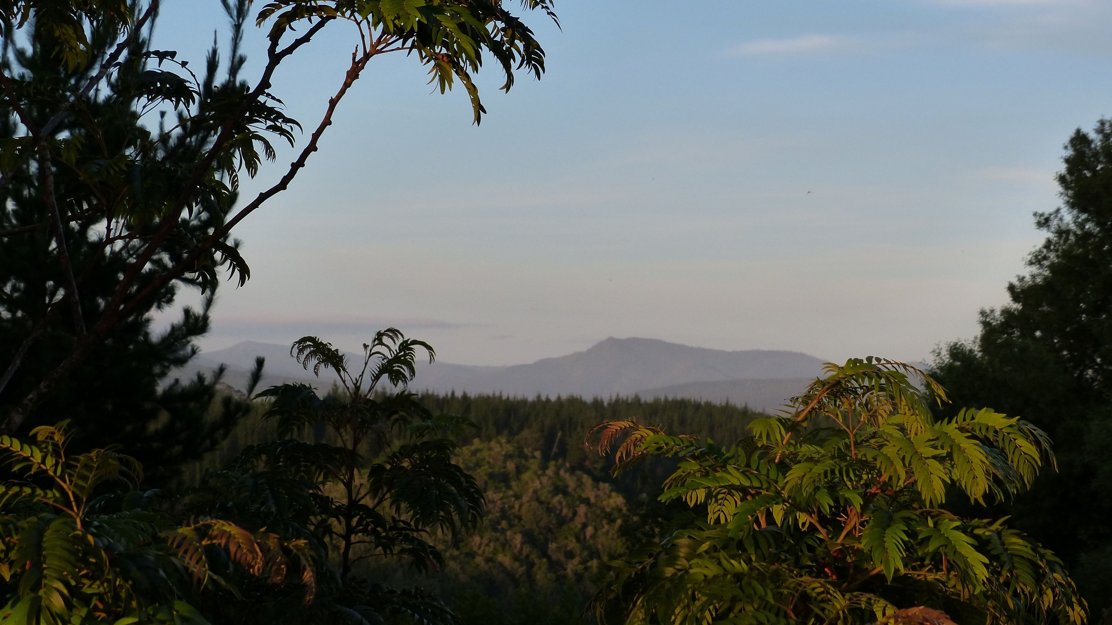 Paisagem natural com vegetação densa e montanhas ao longe.